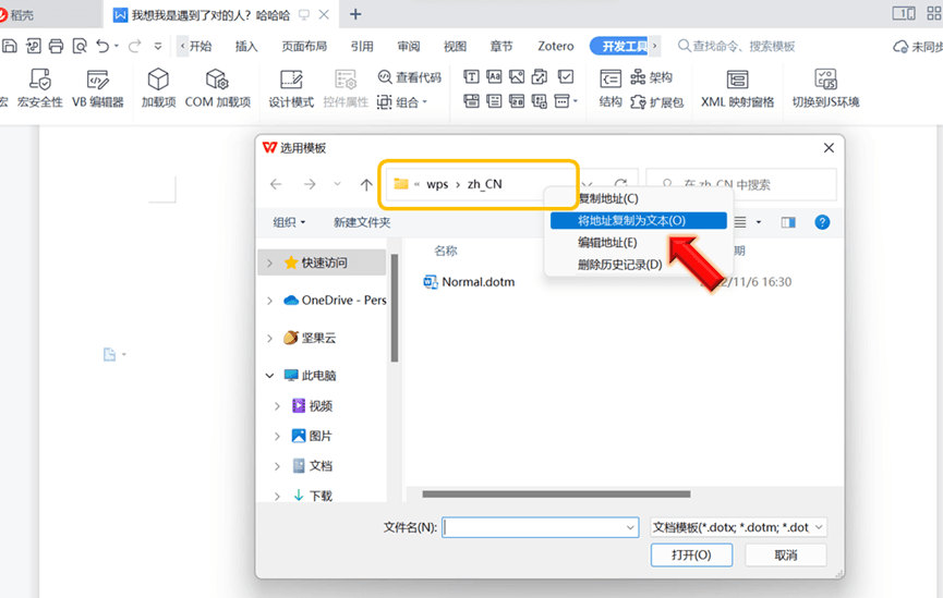 通过 VBA 在 WPS 中使用 Word 插件 | Zotero 中文社区