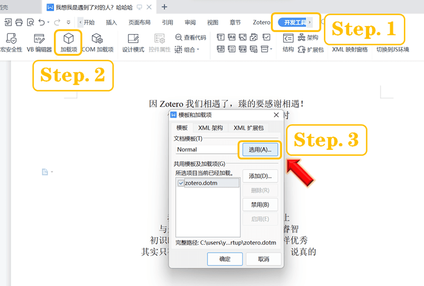 通过 VBA 在 WPS 中使用 Word 插件 | Zotero 中文社区